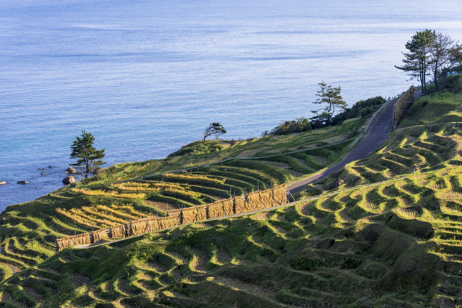 石川は金沢だけでじゃない。能登まで行かなくちゃ。能登半島のおすすめ観光地10選 | RETRIP[リトリップ]