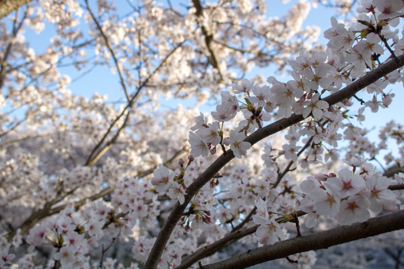 永楽ダム | RETRIP[リトリップ]