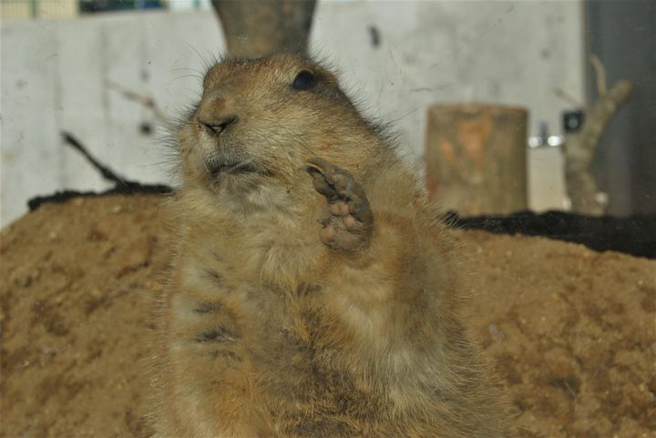 【2024最新】茨城の人気観光スポットランキングTOP30 | RETRIP[リトリップ]