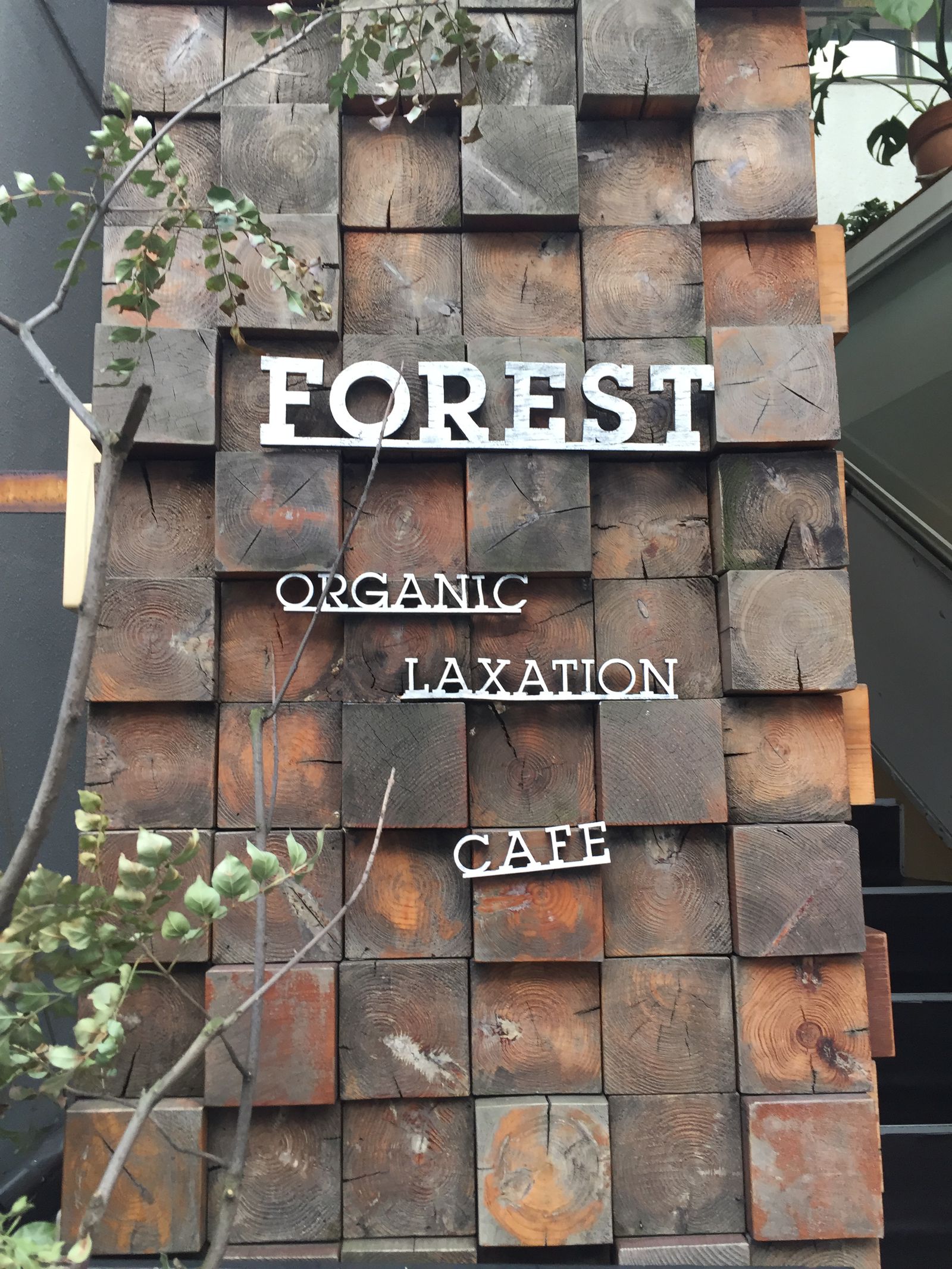 FOREST Cafe&Dining | RETRIP[リトリップ]