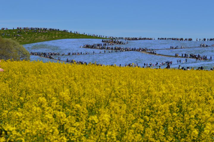 【終了】天気の良い日にどこ行こう？東京近郊の"今週したいこと"LIST | RETRIP[リトリップ]