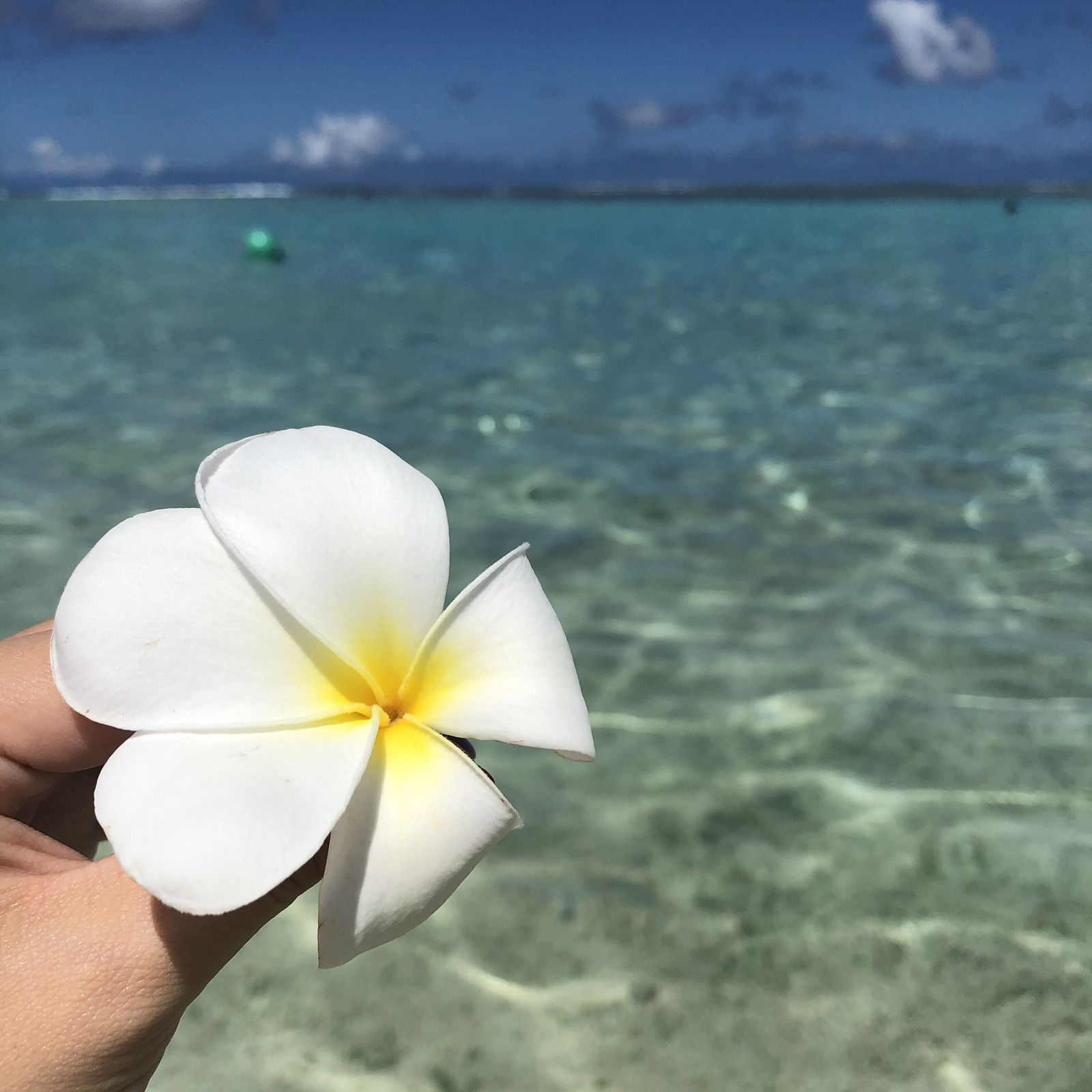 イパオ ビーチ Ypao Beach Park | RETRIP[リトリップ]