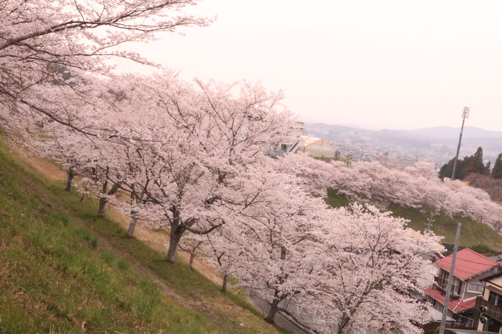 【2023最新】可児の人気自然・公園ランキングTOP20 | RETRIP[リトリップ]