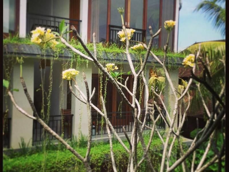 Nani House 2 | RETRIP[リトリップ]