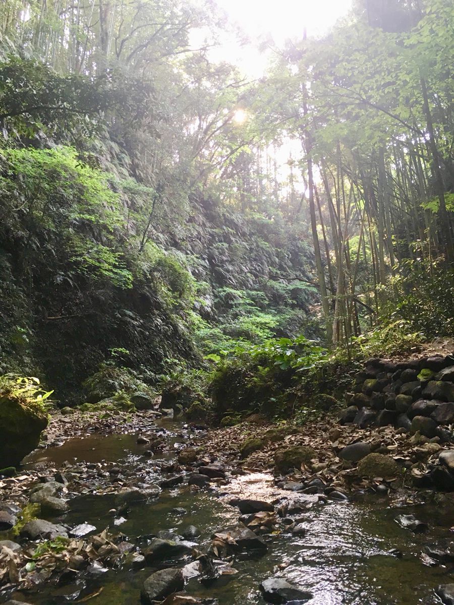 Ioki Cave | RETRIP[リトリップ]